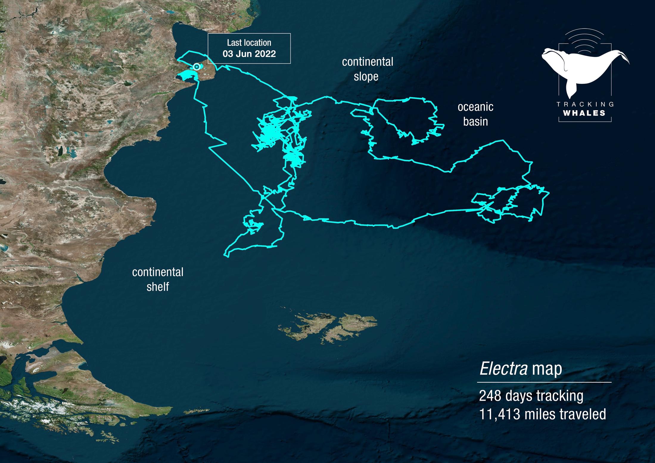 End of the 2021/2022 Tracking Whales Season | Wildlife Health Center ...